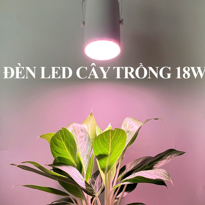 den-cay-kieng-la-trong-nha-den-cay-canh-18w 8 - Minigarden Việt Nam
